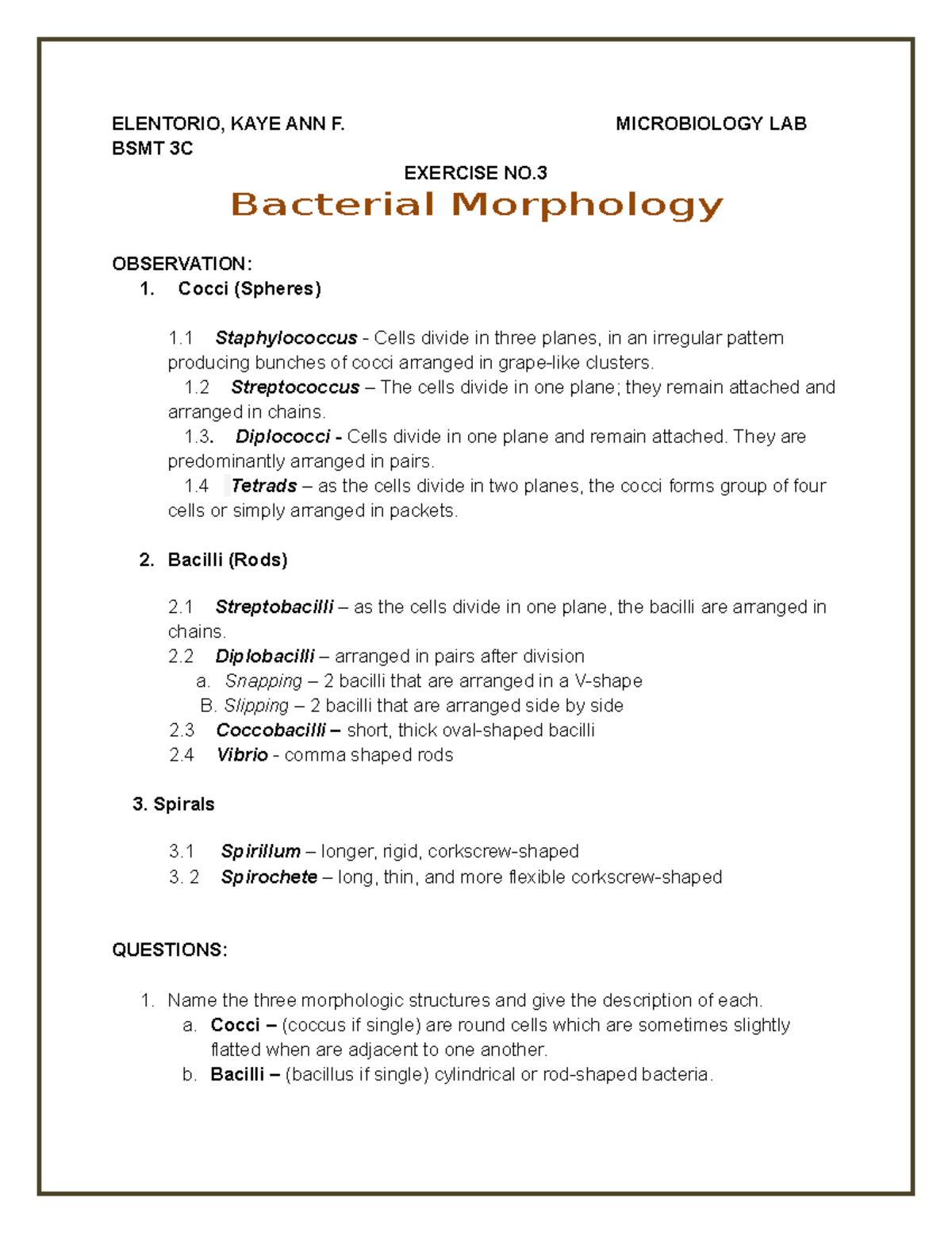 Bacterial Morphology - Bacteriology - ELENTORIO, KAYE ANN F ...