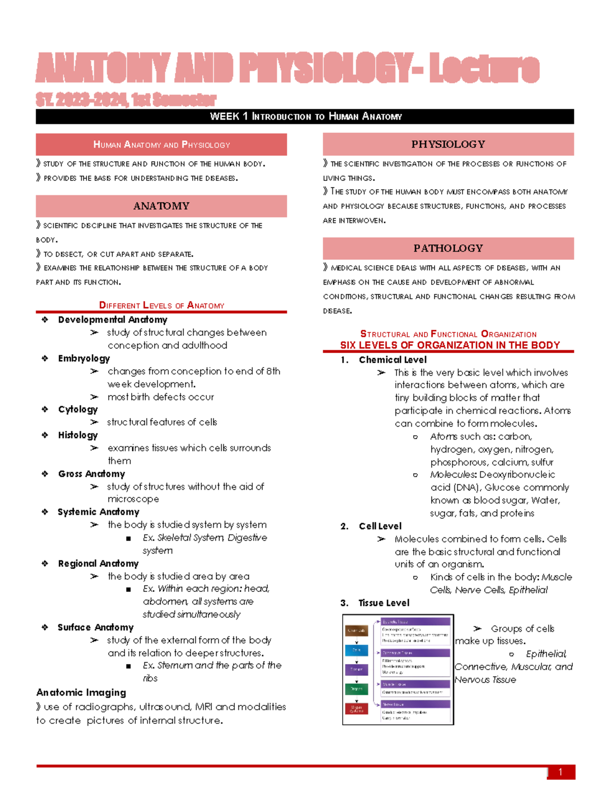 Anaphy LEC 23 24 - ANATOMY AND PHYSIOLOGY- Lecture SY. 2023-2024, 1st Semester WEEK 1 ...