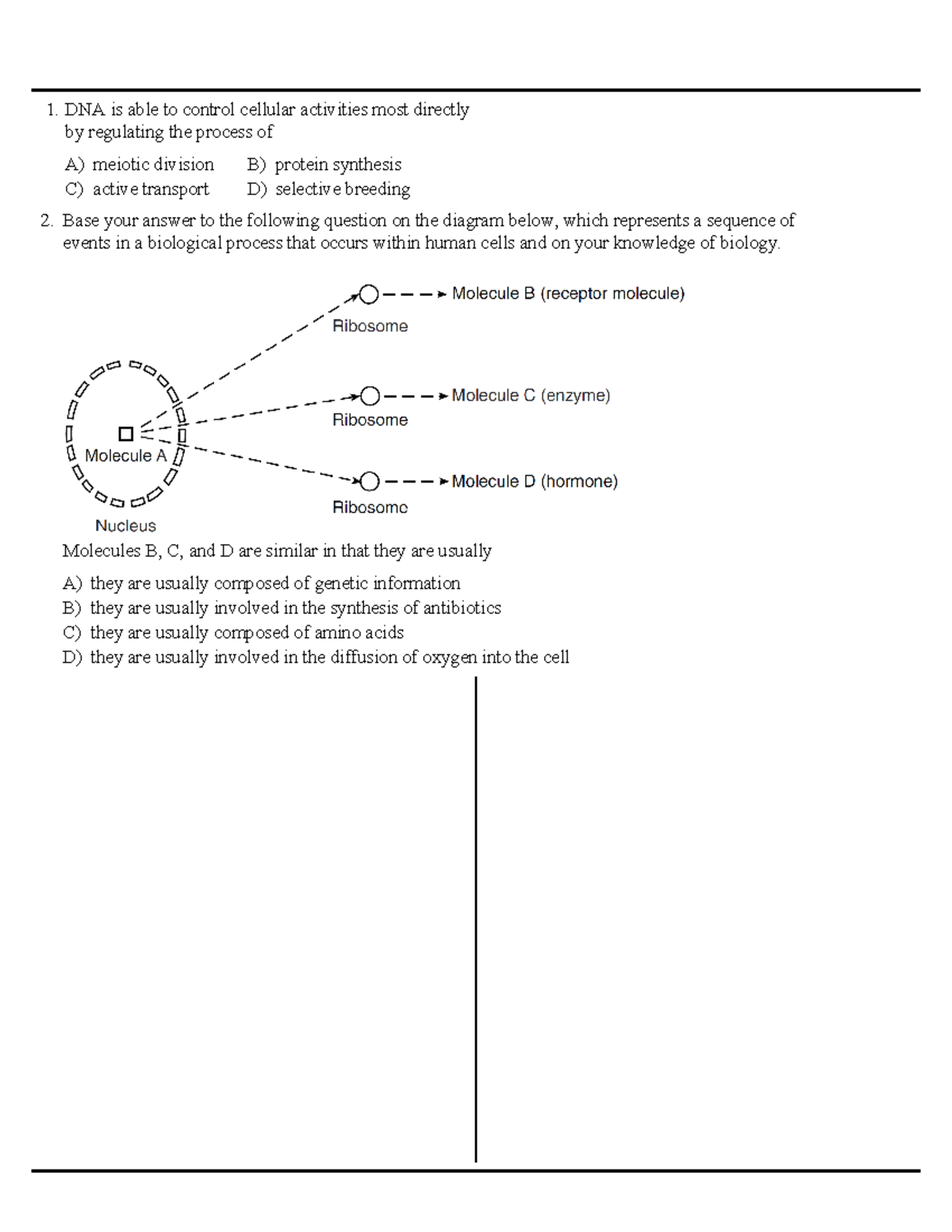Kami Export - Brianna Ordonez - Modern genetics practice test lessons ...