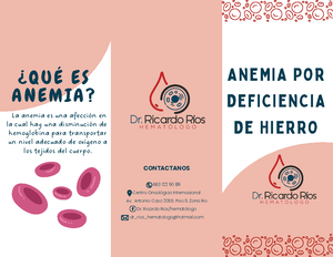 GUIA Morfo Sistema Hematico - GUIA MORFO SISTEMA HEMATICO ¿Qué es la ...