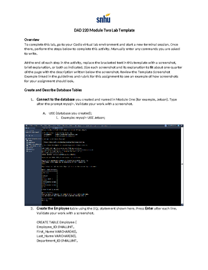 DAD 220 Module One Lab Assignment - DAD 220 Module One Lab Template Overview To complete this ...