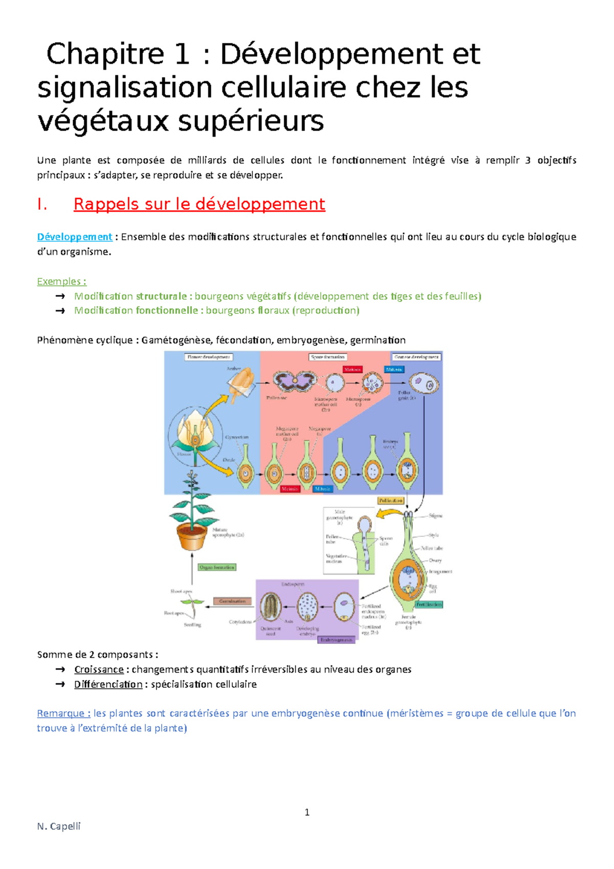Chapitre 1 - Développement et signalisation cellulaire chez les ...