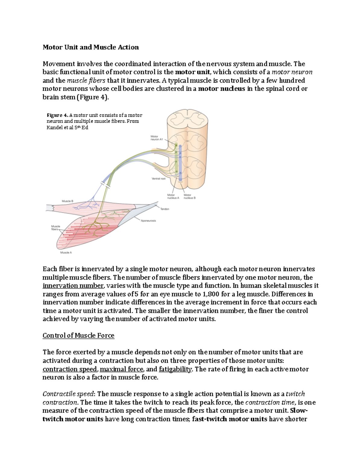 4 460 Motor Unit Handout - Motor Unit and Muscle Action Movement ...