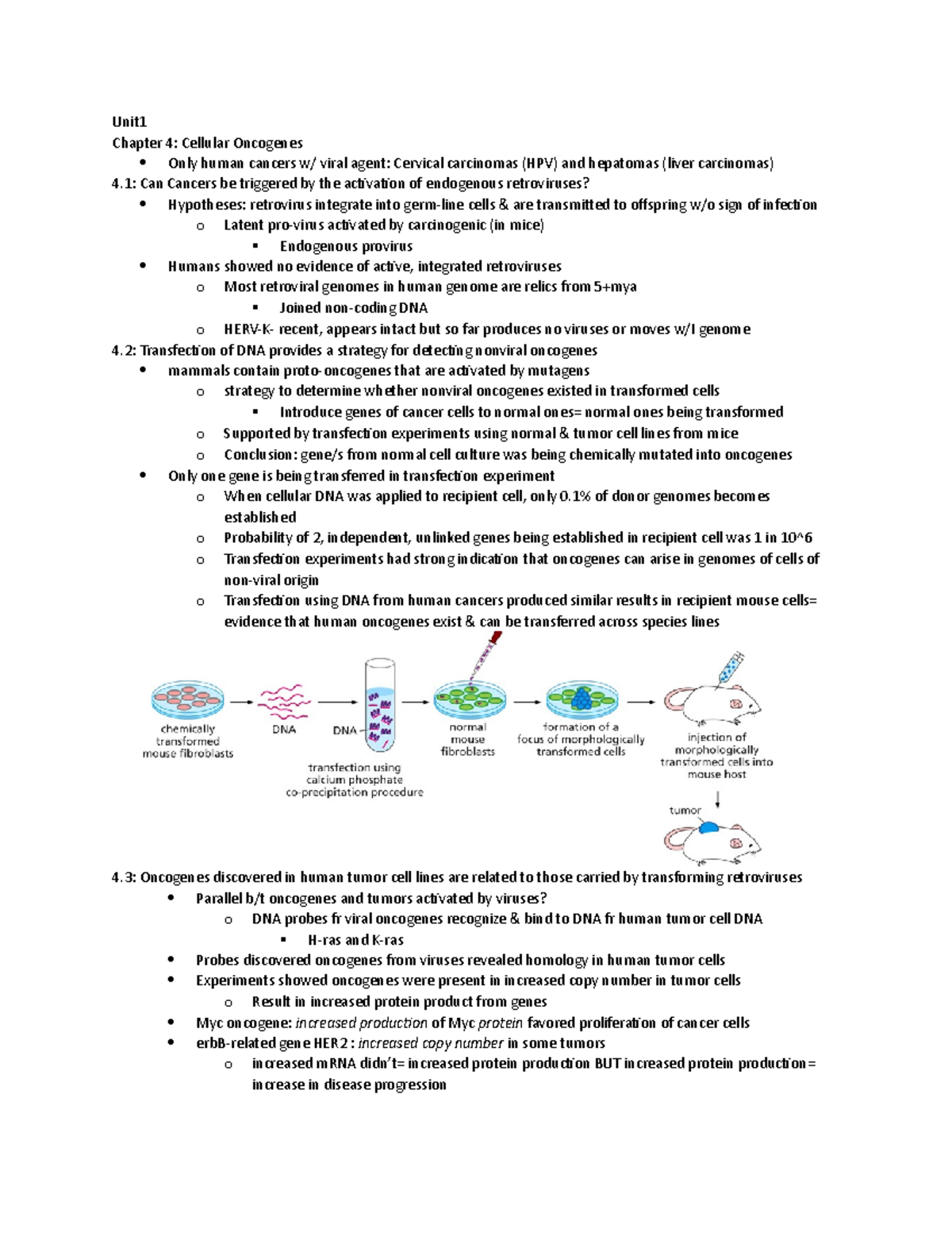 Unit 2 Cancer Biology - Unit 2 - Unit Chapter 4: Cellular Oncogenes ...