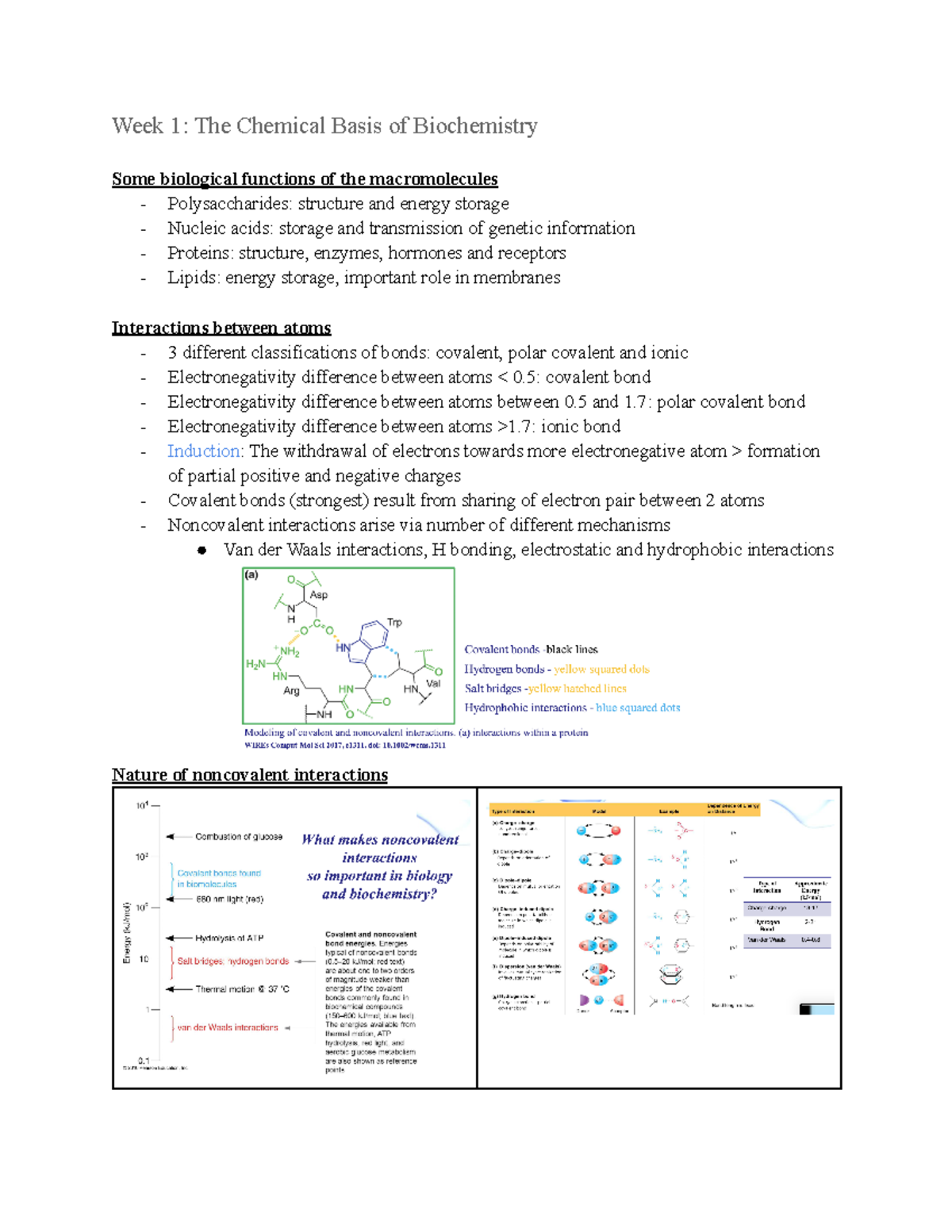 BS1005 Notes-2 - Notes - Week 1: The Chemical Basis of Biochemistry ...