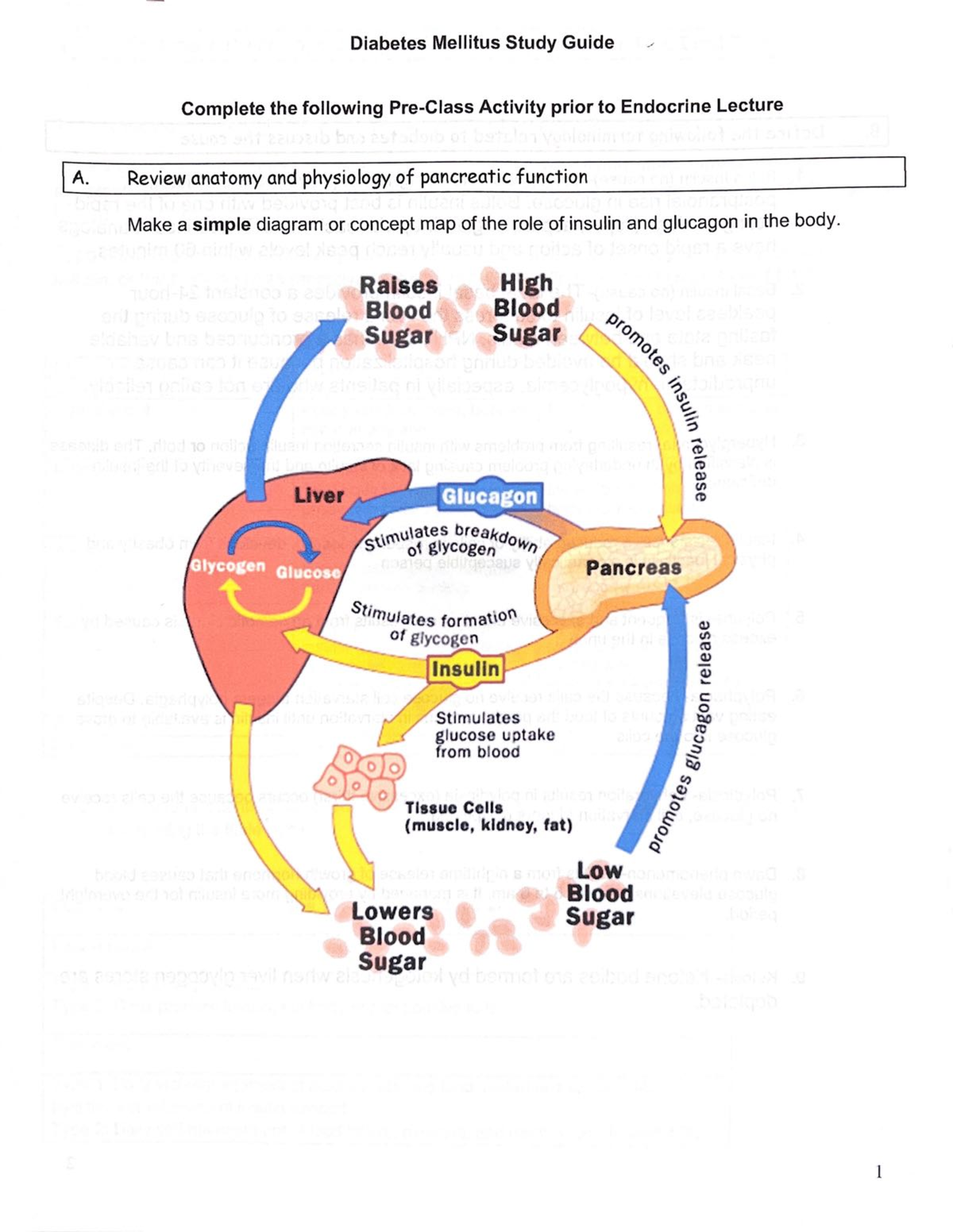 DM Review - DM1 vs dm2 - NRSG 212 - Studocu