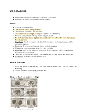 Lab 6 - Genetics Fly Lab - lab 6 - GENETICS: SIMULATING EXPERIMENTAL ...