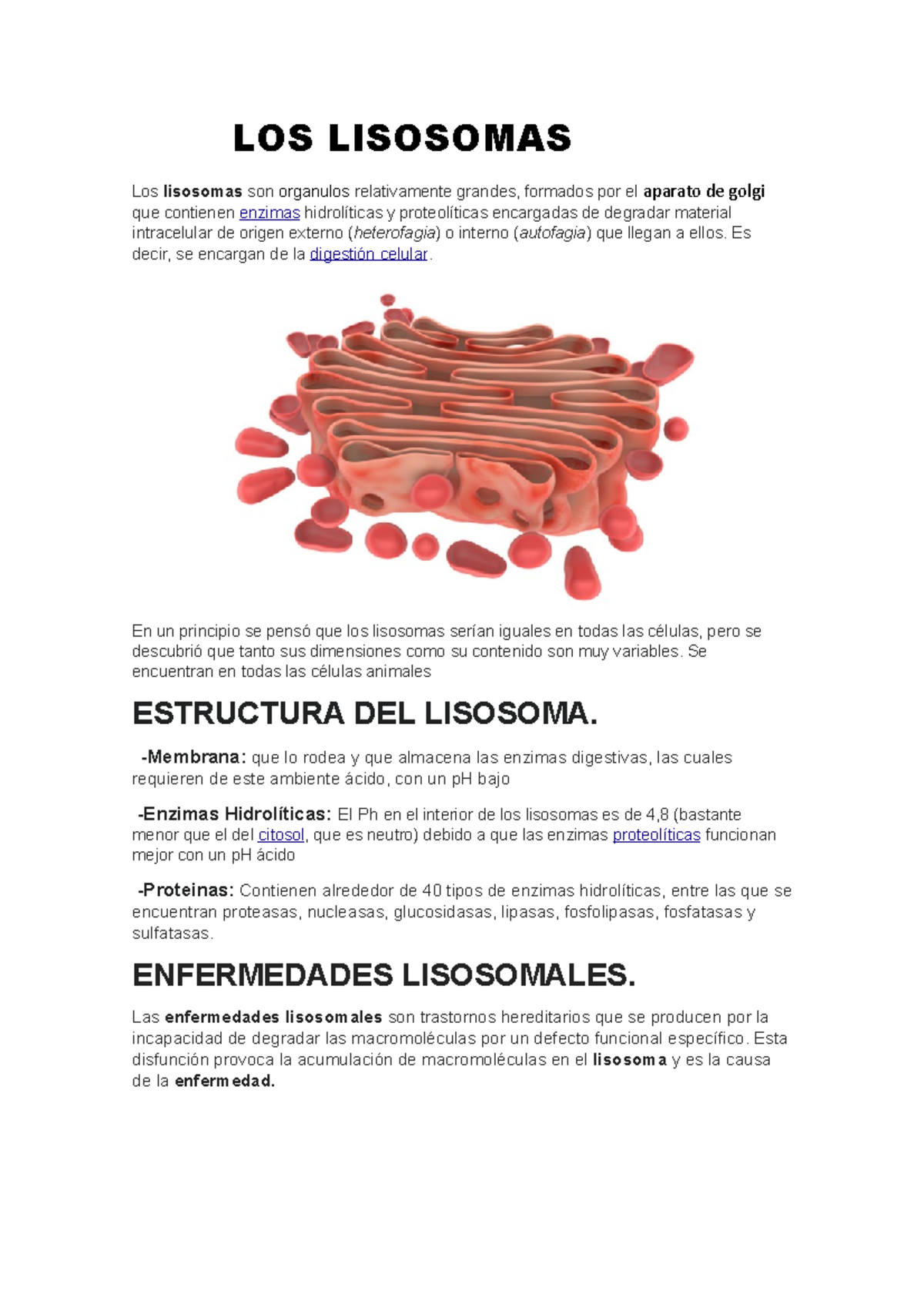 LOS Lisosomas - trabajo - LOS LISOSOMAS Los lisosomas son organulos ...
