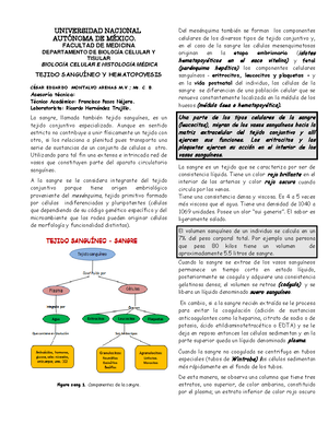 Ensayo Histología - Histologia del VPH - Introducción: El virus del ...
