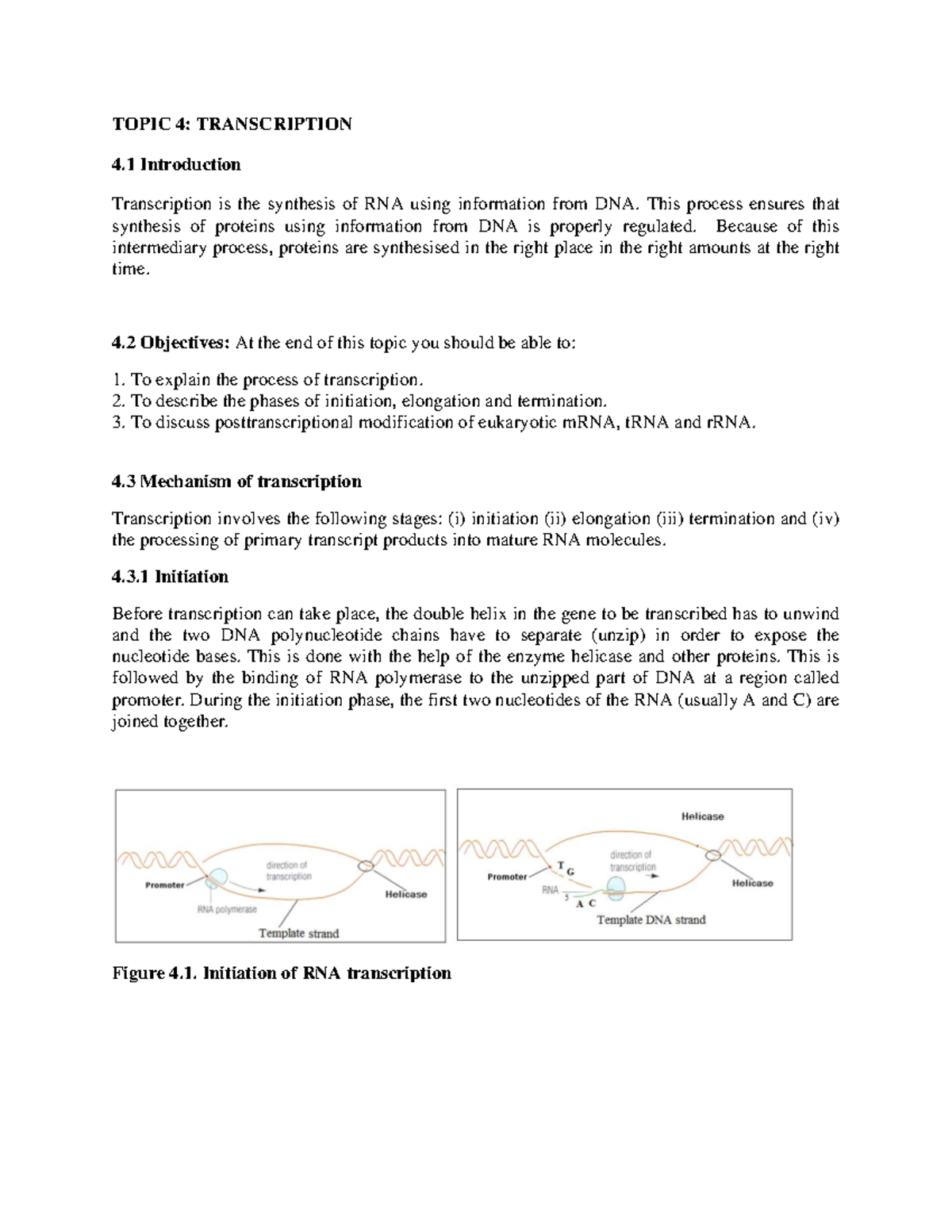 Topic 4 Transcription 2021 - TOPIC 4 : TRANSCRIPTION 1 Introduction ...