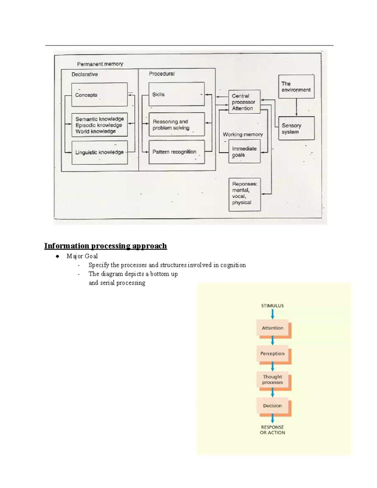 PSYU2246 Cognitive processes Notes - Information processing approach ...