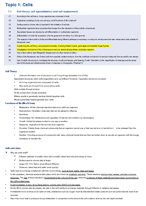 Respiratory System Webquest - Name Respiratory System Webquest ...