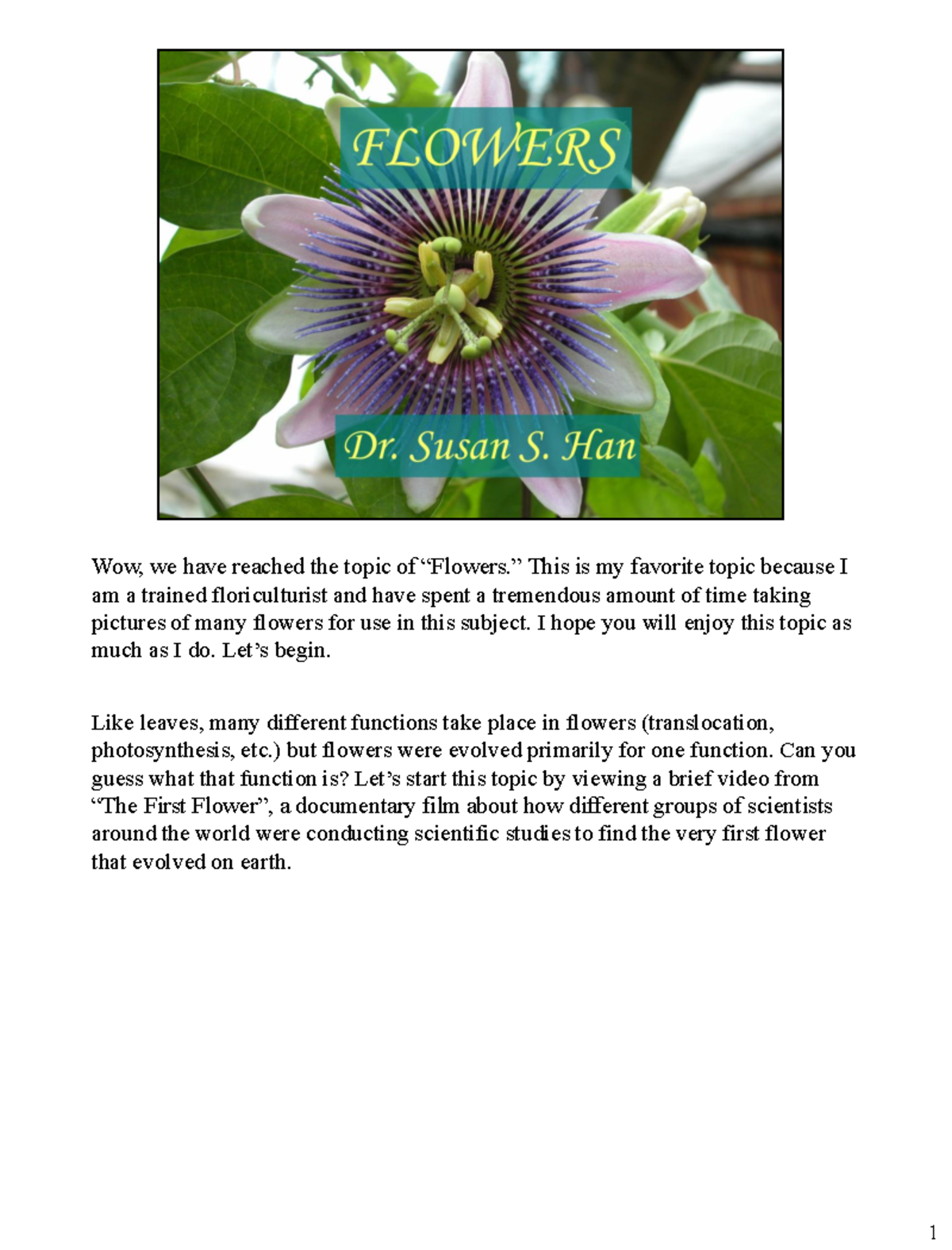 8. Flowers online - Lecture - Wow, we have reached the topic of ...