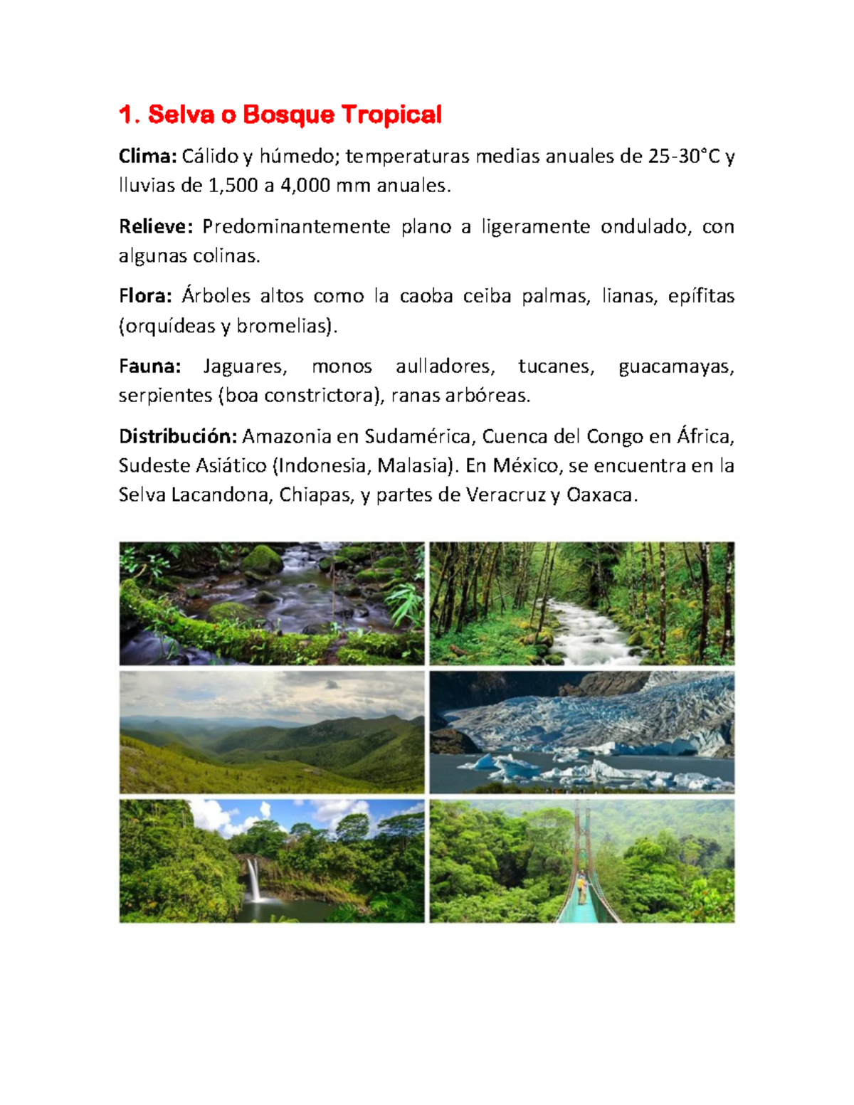 Regiones Naturales - kjjjjjjj - 1. Selva o Bosque Tropical Clima ...