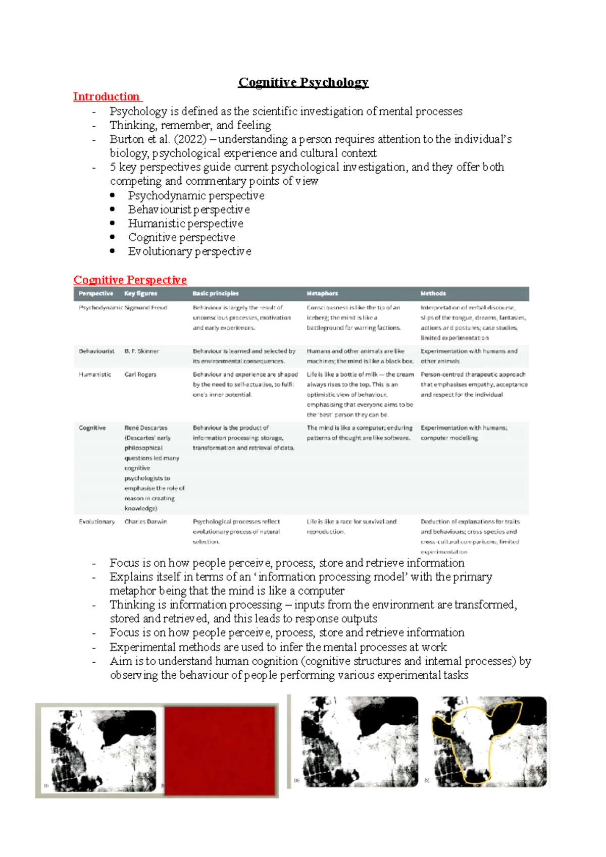 Cognitive Psychology - Cognitive Psychology Introduction - Psychology ...
