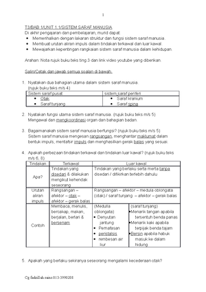 Rph sains tahun 3 doc - RANCANGAN PENGAJARAN HARIAN SAINS TAHUN 3 ...