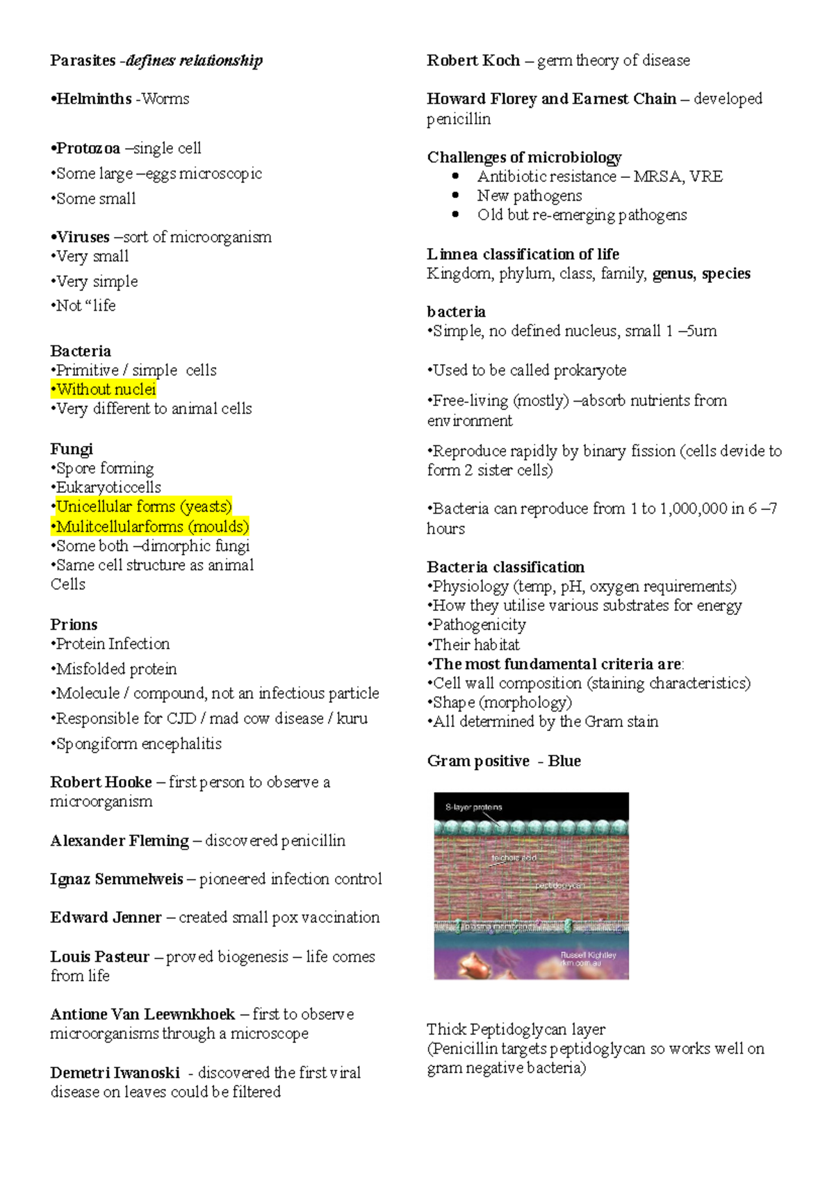 Exam notes - viruses and bacteria - Parasites relationship Robert Koch ...