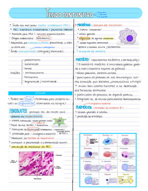 Tecido Cartilaginoso - ####### CARTILAGENS MATRIZ TERRITORIAL: mais ...