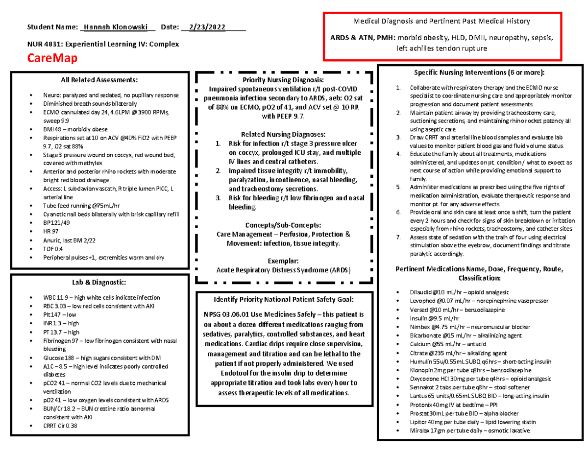 ELIV Care Map #3 - patient care map and exemplar - Medical Diagnosis ...
