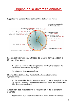 Euarthropodes - (Eu-)arthropodes : des Ecdysozoaires à appendices ...