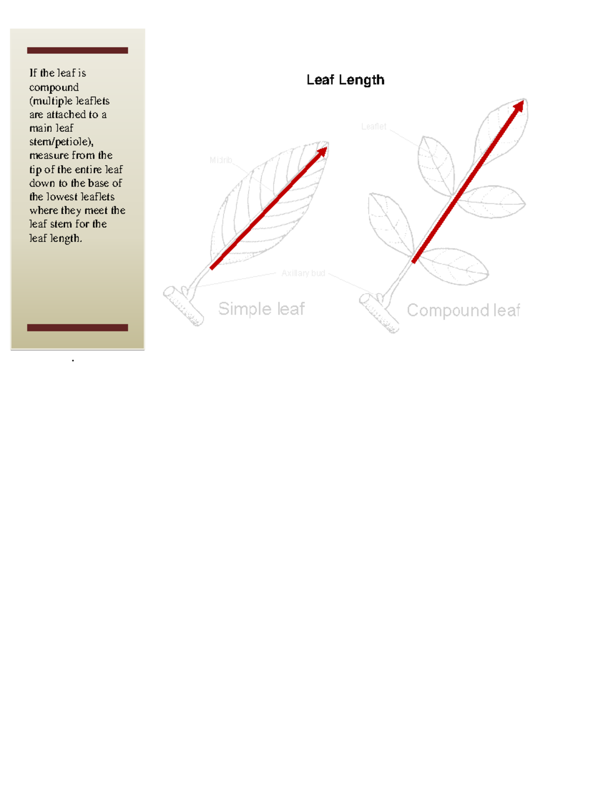 Compound length diagram-Postans-snow - Trends and Issues in Social ...