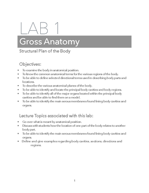 Lab Manual Lab 10 - Cardiovascular System - LAB 10 Cardiovascular ...