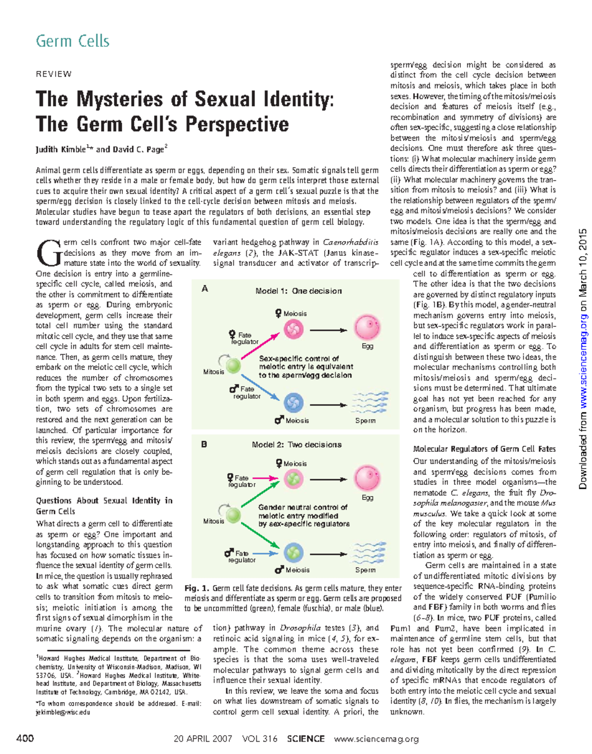 Kimble 2007 - ... - REVIEW The Mysteries of Sexual Identity: The Germ ...