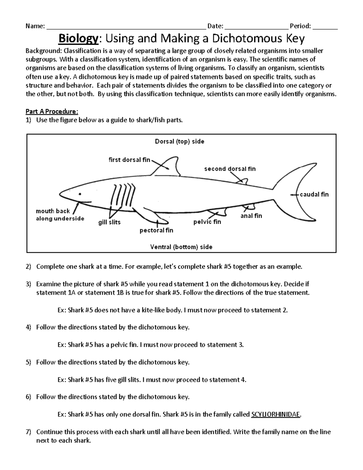 2017 Shark dichotomous key - Name ...
