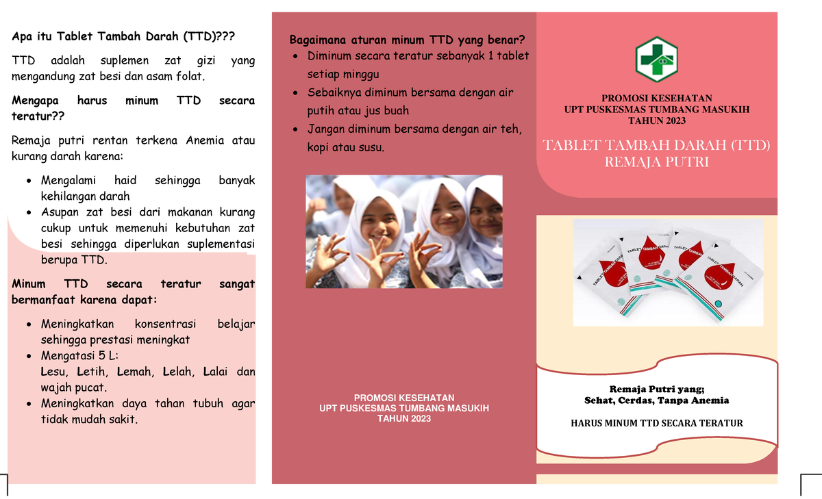 Leaflet TTD Rematri - buat download aja - PROMOSI KESEHATAN UPT PUSKESMAS TUMBANG MASUKIH TAHUN ...