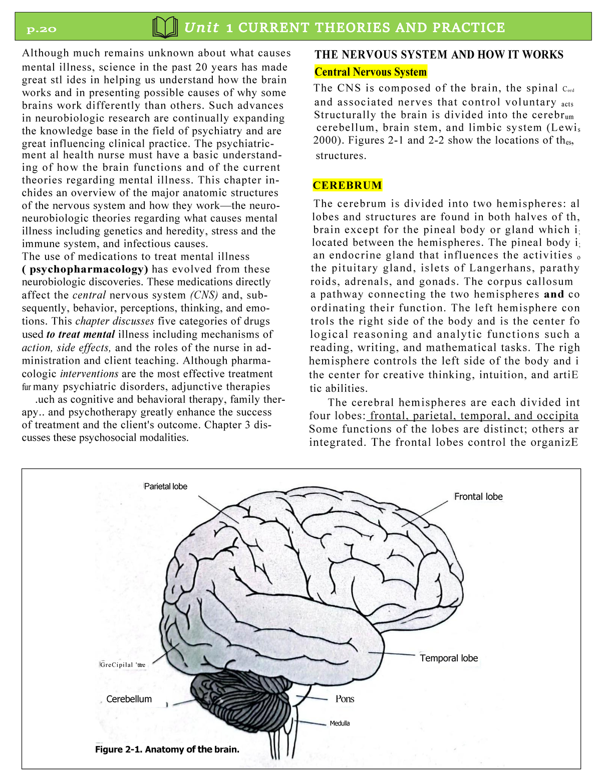 Nursing-1 - Unit 1- Current Theories and Practice - The Nervous System ...