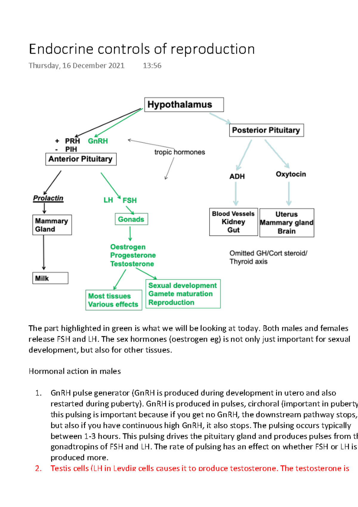 Endocrine controls of reproduction - The part highlighted in green is ...