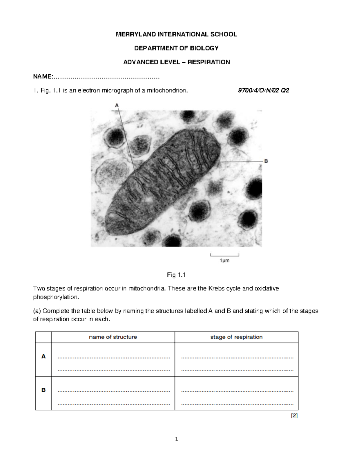 BIO 00-20 - good luck - MERRYLAND INTERNATIONAL SCHOOL DEPARTMENT OF ...