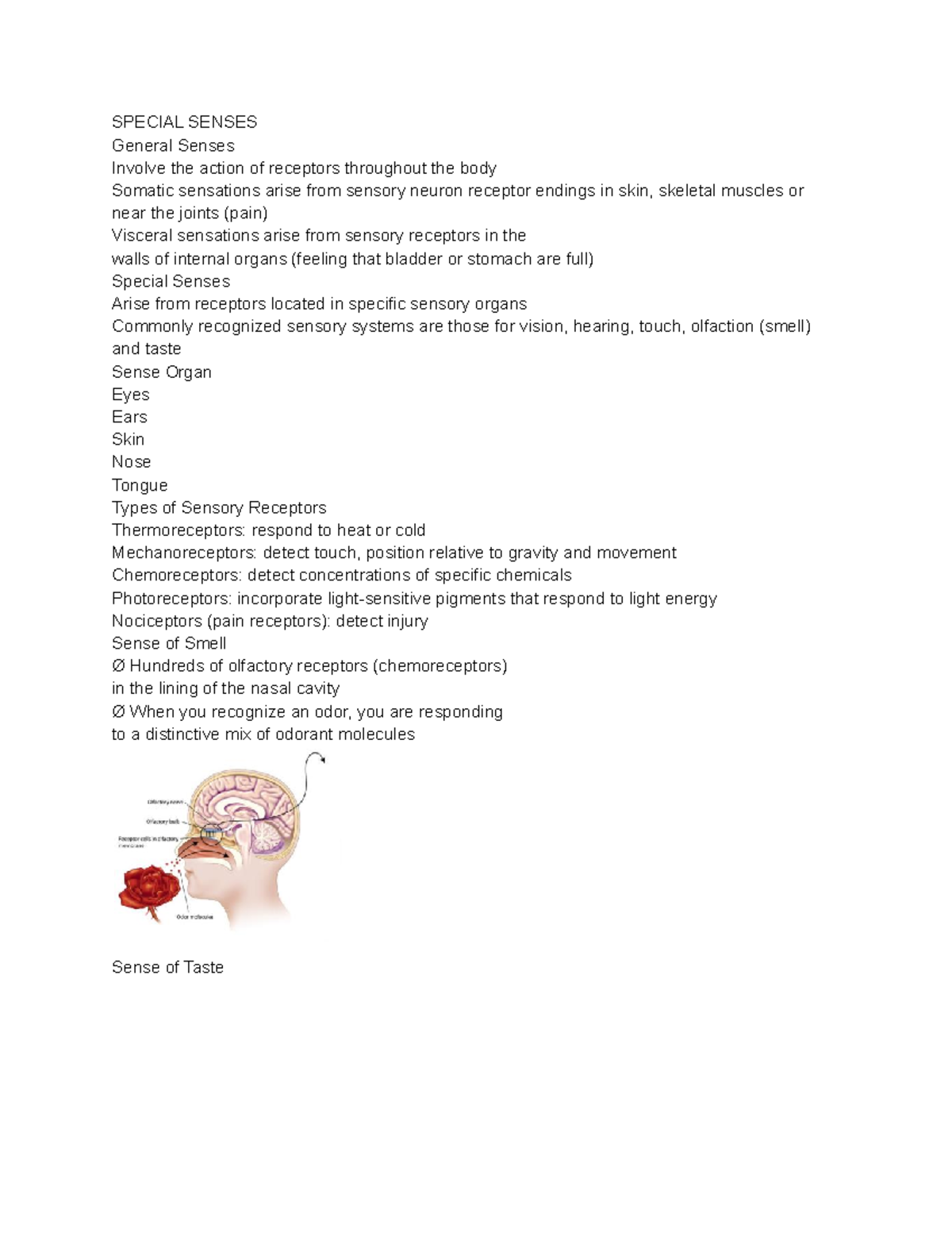 Special senses - SPECIAL SENSES General Senses Involve the action of ...