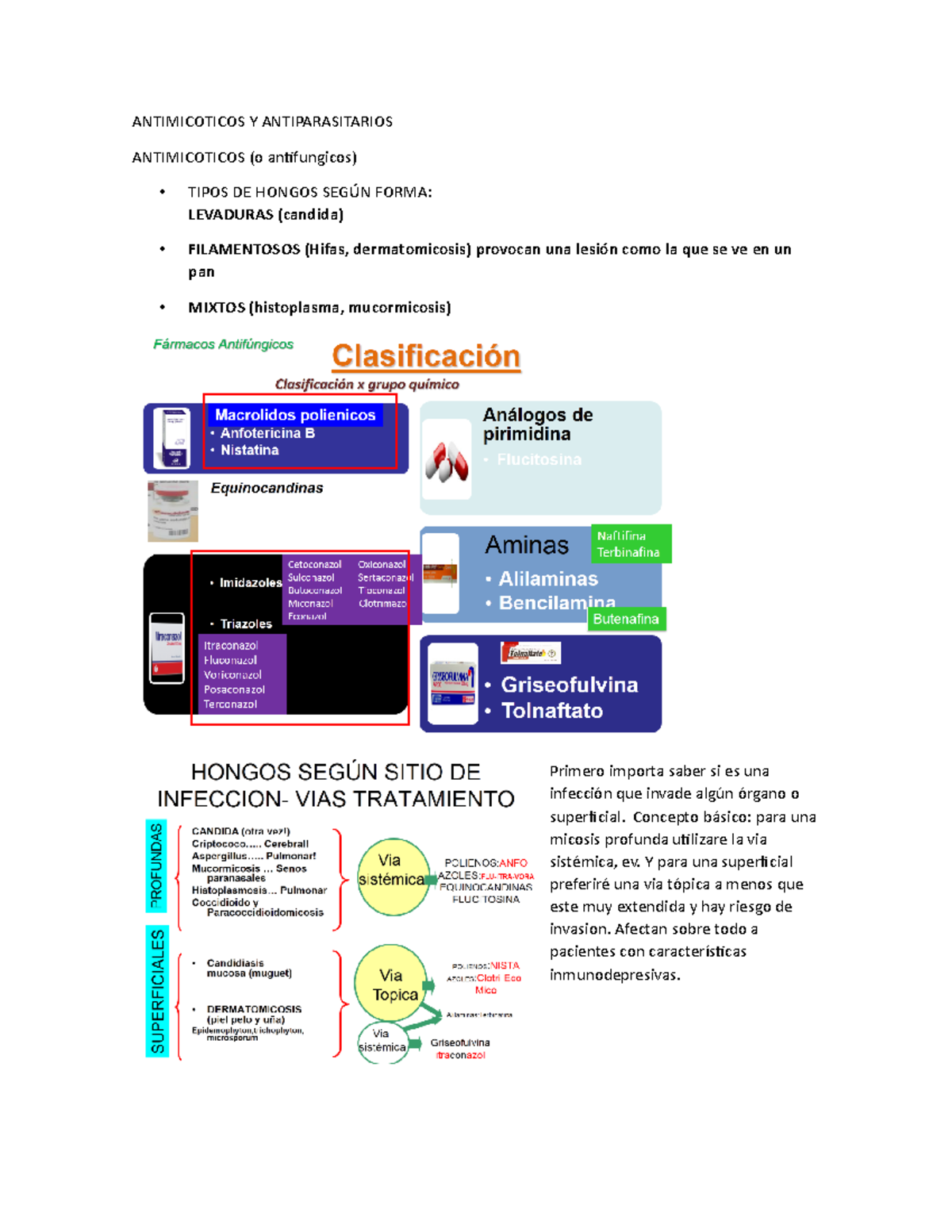 Antimicoticos Y Antiparasitarios - ANTIMICOTICOS Y ANTIPARASITARIOS ANTIMICOTICOS (o ...
