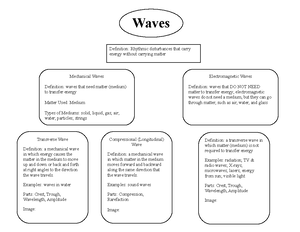 Anatomy wave worksheet - Name ...