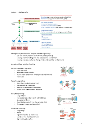 Cell Junctions Notes - UNIT JUNCITONS Humans are multicellular ...