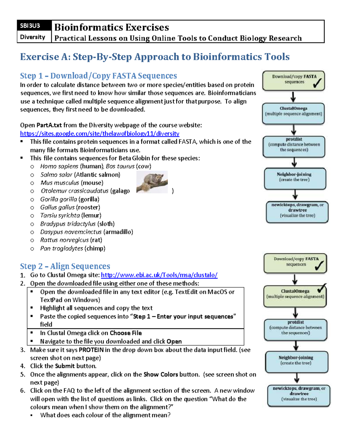 Bioinformatics Activity - Exercise A and B - SBI3U Diversity ...