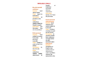 Anatomie cours présentation - Anatomie: Système nerveux central ou ...