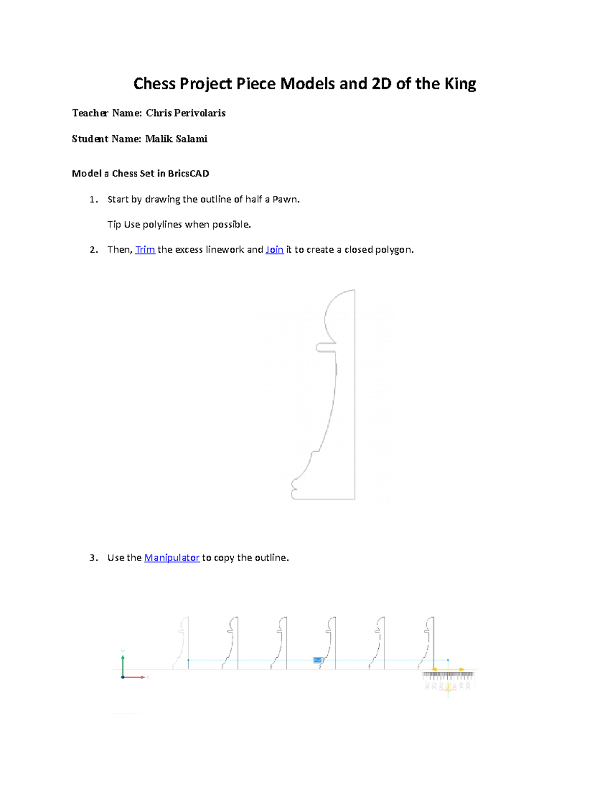 Chess Project Piece Models and 2D of the King By Malik - Chess Project ...