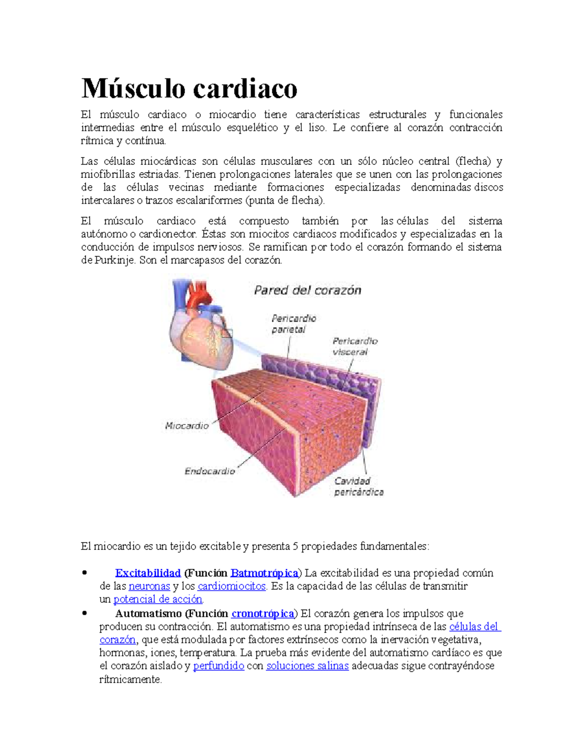 Músculo cardiaco - notas - Músculo cardiaco El músculo cardiaco o ...