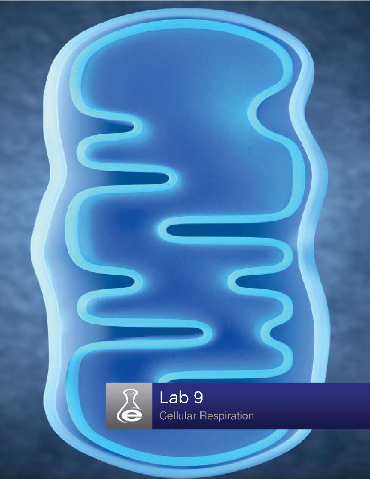 Lab 9 Manual - Lab 9 Cellular Respiration words, they break down big molecules into smaller ...