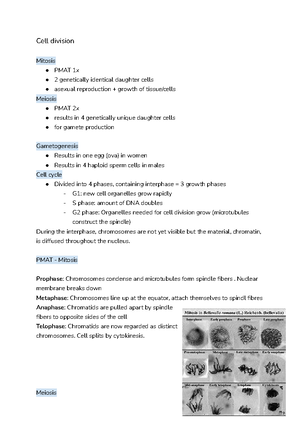 HL 8.2 respiration - biology ib topic 2 - H/L 8. 2 Respiration ...