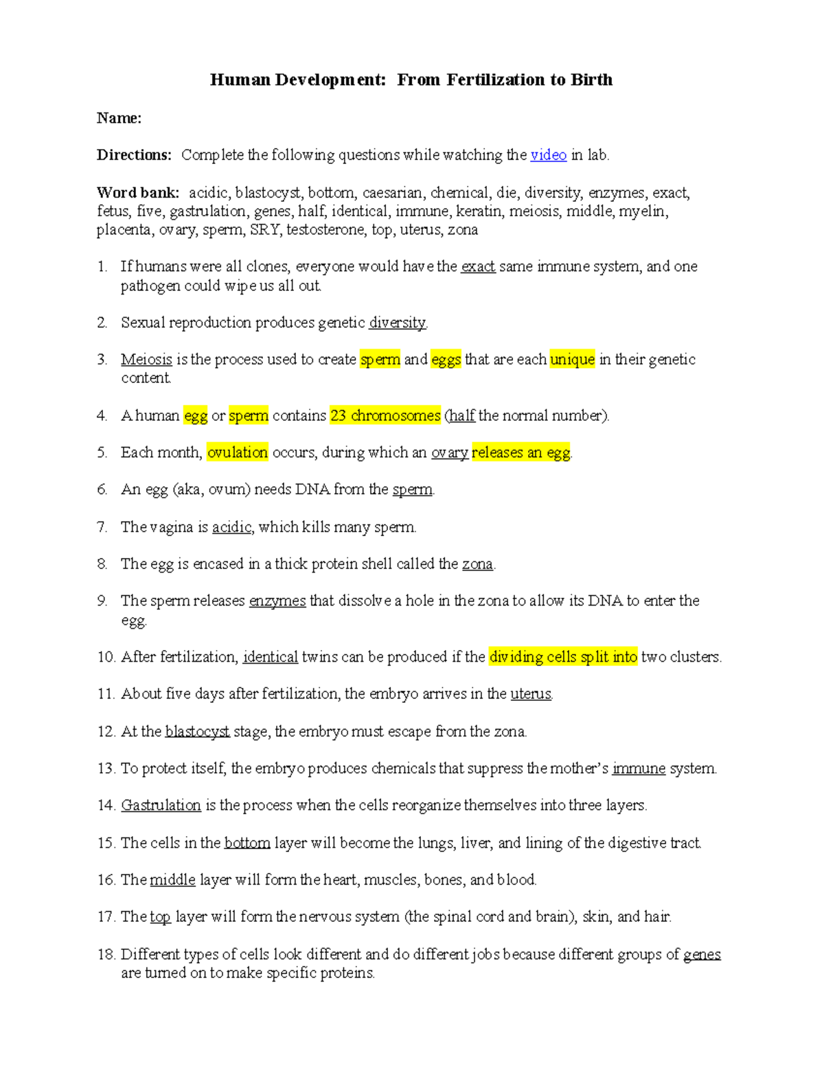 Human Development from Fertilization to Birth - Human Development: From ...