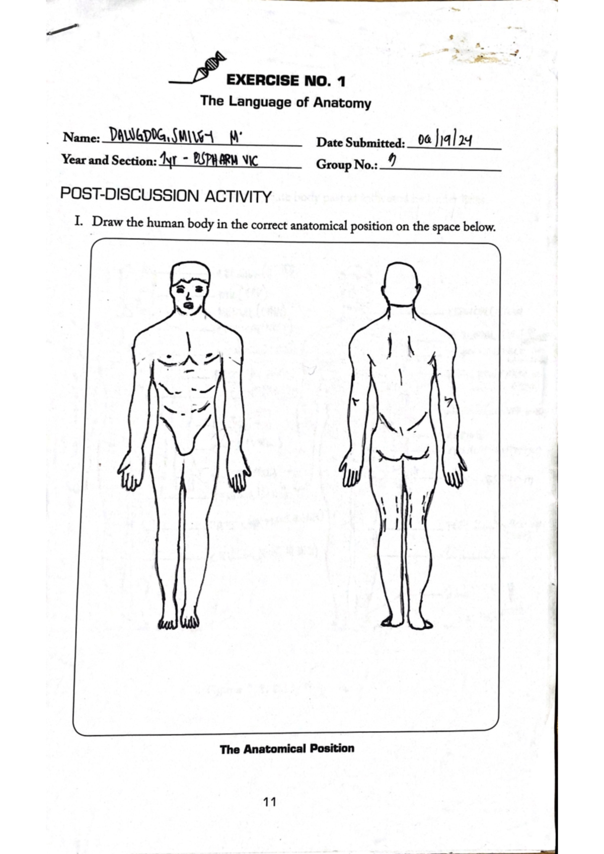 Exercise NO. 1 The Language of Anatomy - EXERCISE NO. 1 The Language of ...