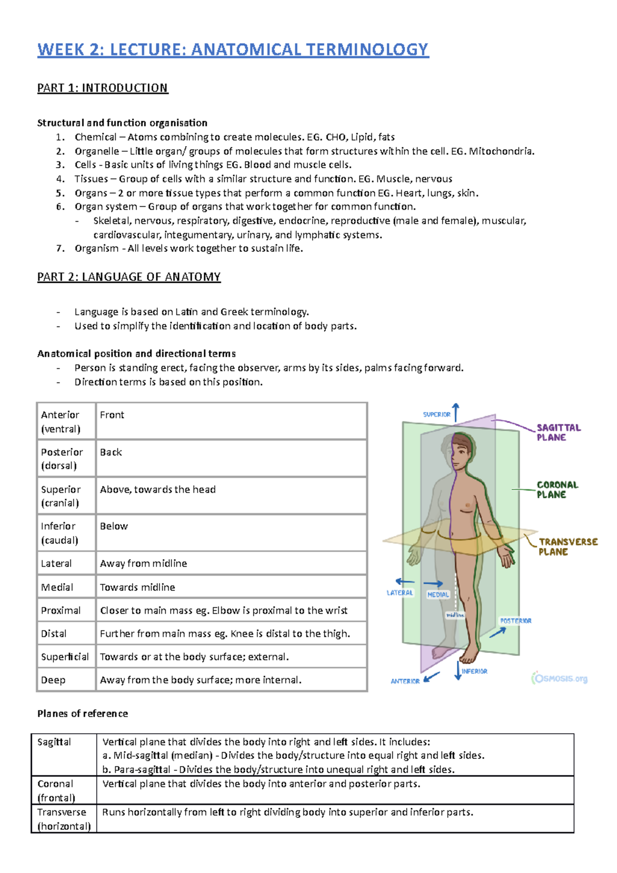 Structual Anatomy Lectures - WEEK 2: LECTURE: ANATOMICAL TERMINOLOGY PART 1: INTRODUCTION ...