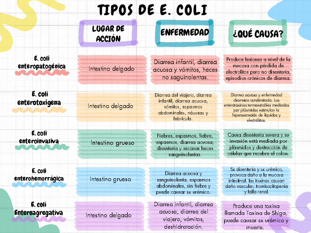 Tipos de E. coli - TIPOS DE E. COLI ENFERMEDAD ¿QUÉ CAUSA? LUGAR DE ...
