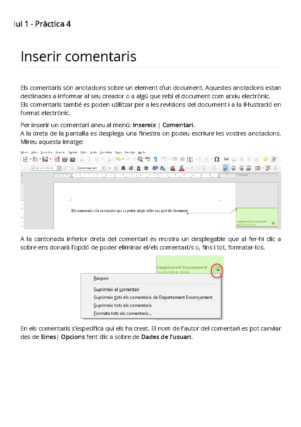 Actic c4n modul 1 practica 4 - dul 1 - Pràctica 4 Inserir comentaris ...