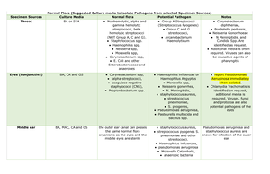 IV-2 Test - Module 1 PSW Foundations (C) copy - Module 1 – PSW ...