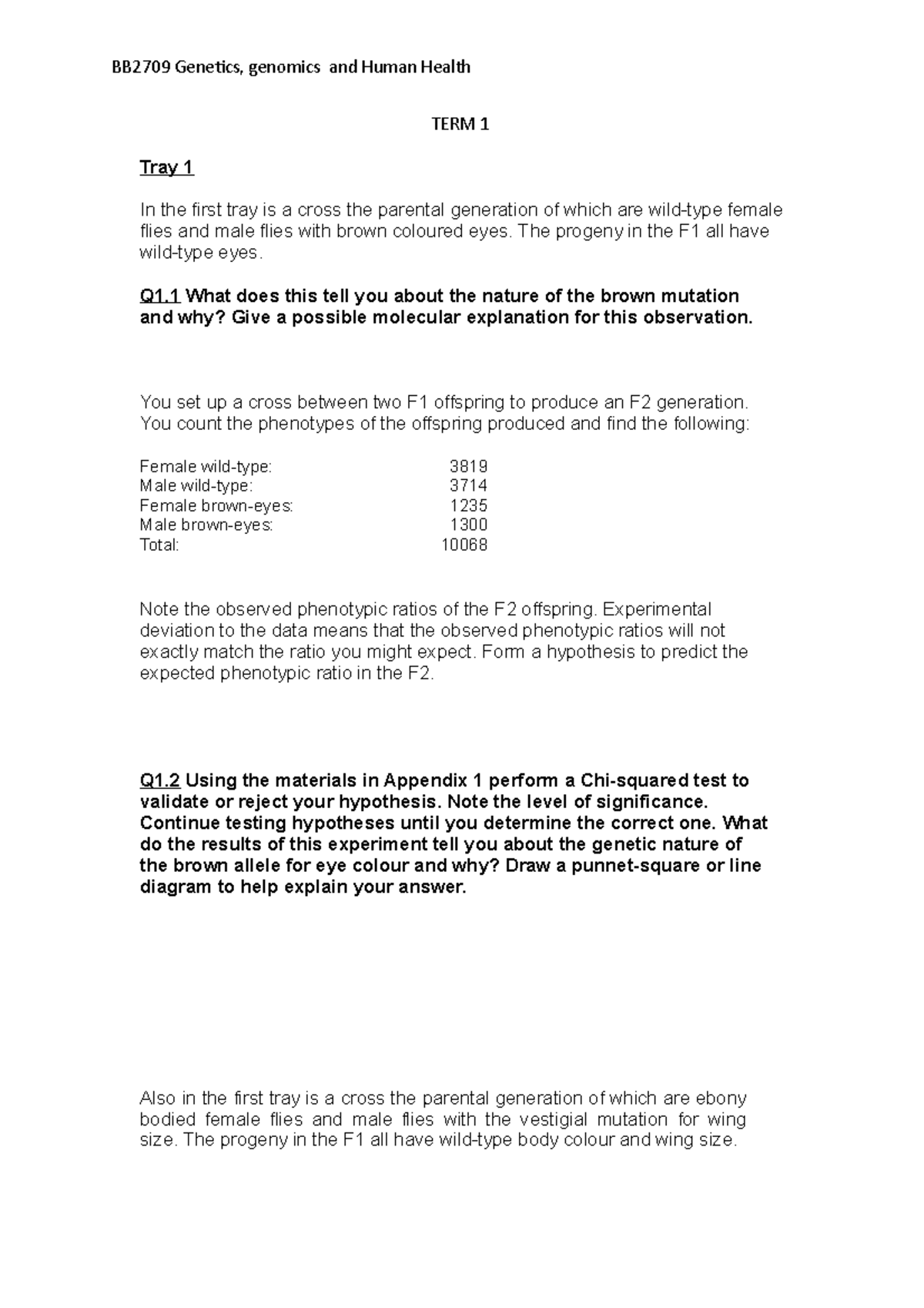 Genetics - punnet square, chi-square, practice sheet - TERM 1 Tray 1 In ...