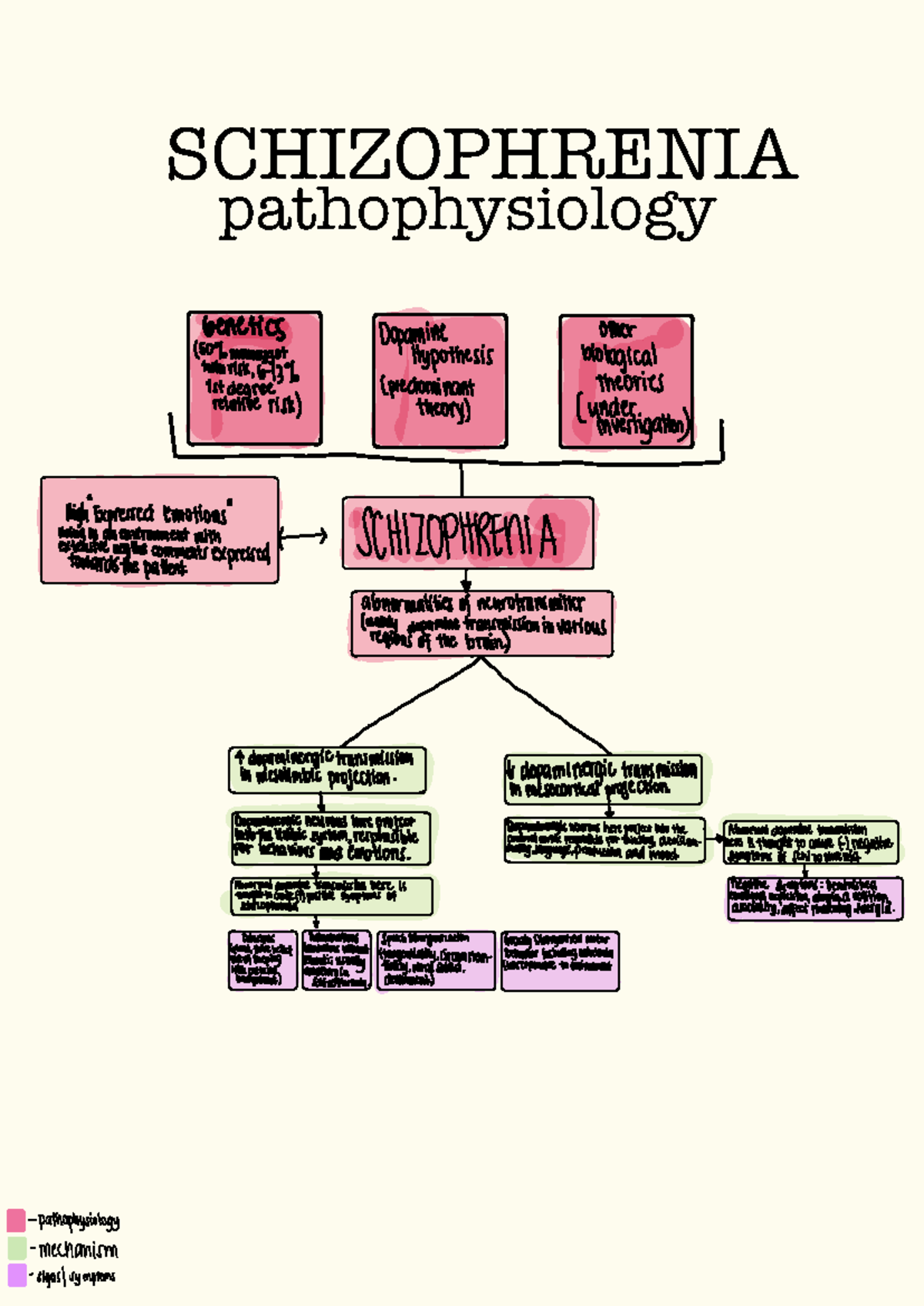 Schiz Patho ( Rosales) - SCHIZOPHRENIA pathophysiology benetics ...
